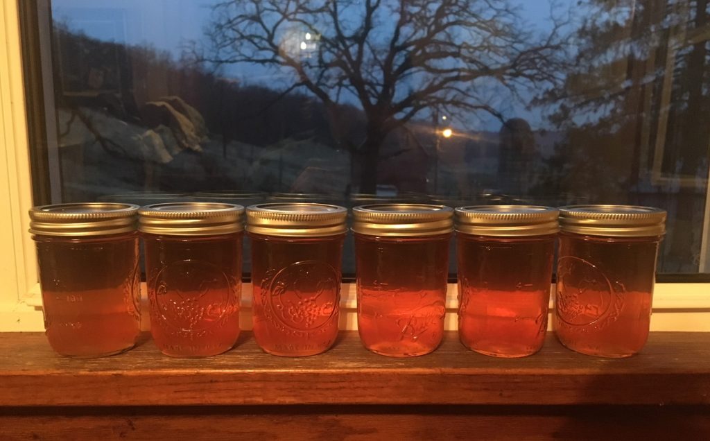 Maple Sugaring Basics - Folklore Village